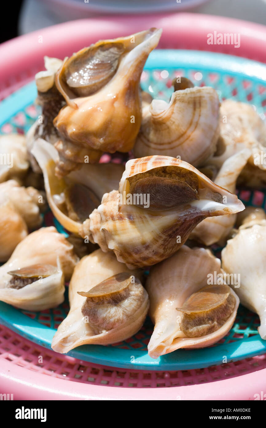 Sea Snails on sale Jagalchi Fish Market Busan South Korea - An example ...