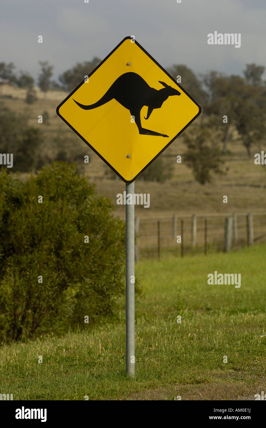 Kangaroos crossing sign hi-res stock photography and images - Alamy