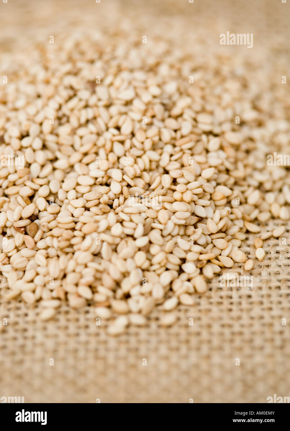 Uncooked seeds hi-res stock photography and images - Alamy