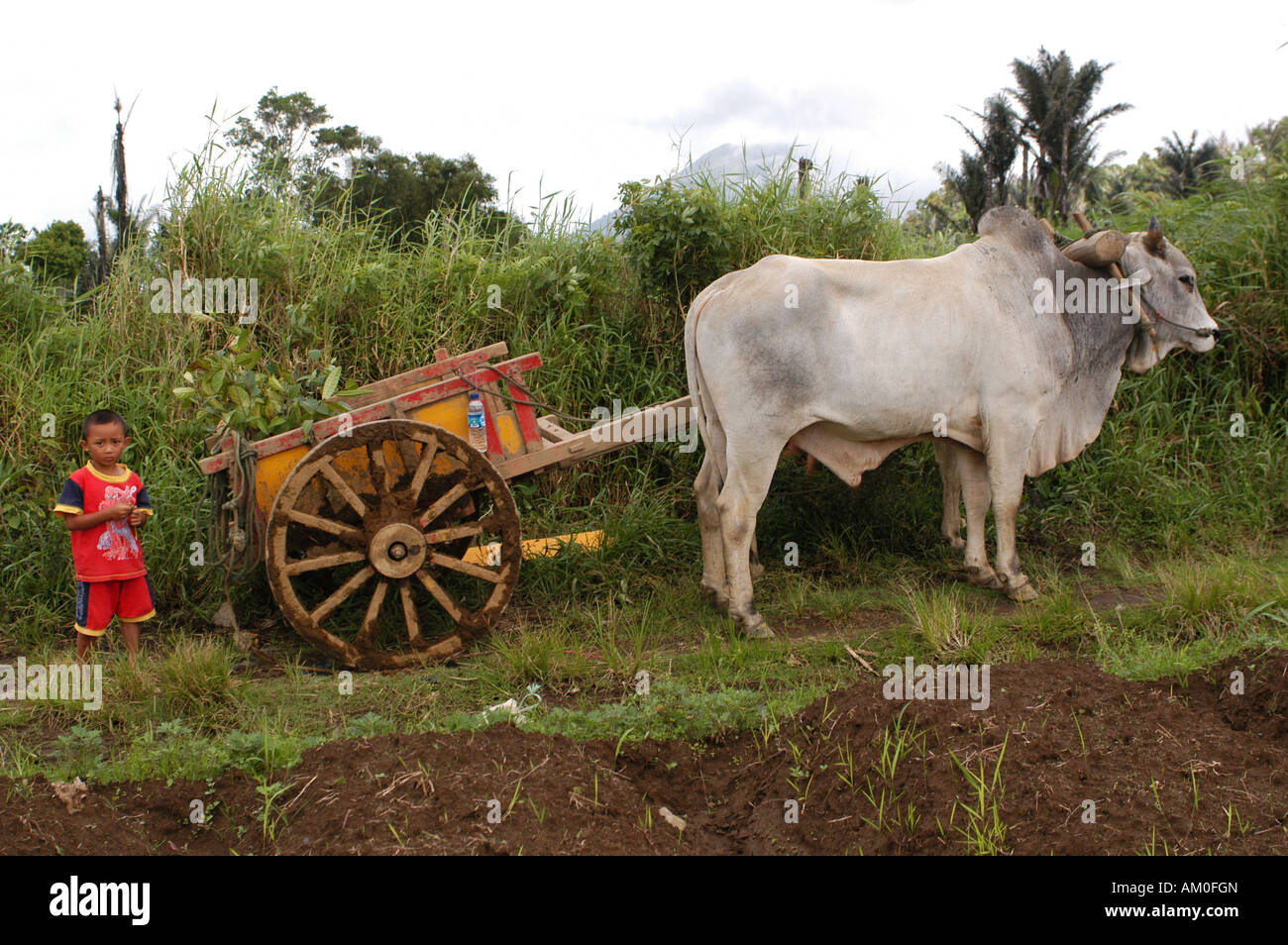 Mount mahawu hi-res stock photography and images - Alamy