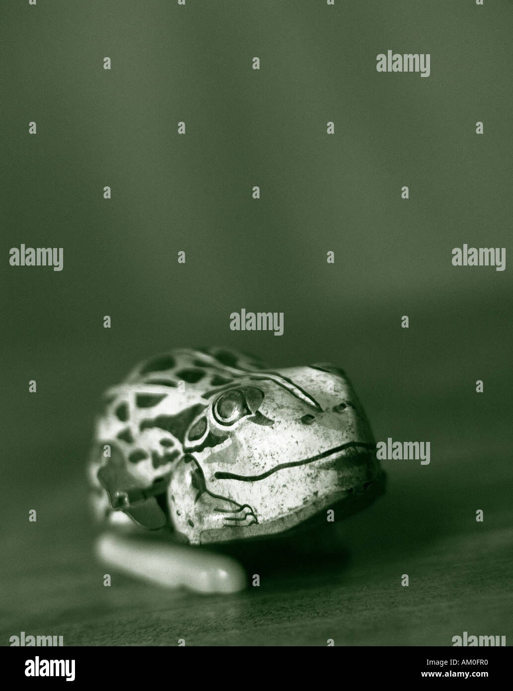 Fake frog toy hi-res stock photography and images - Alamy