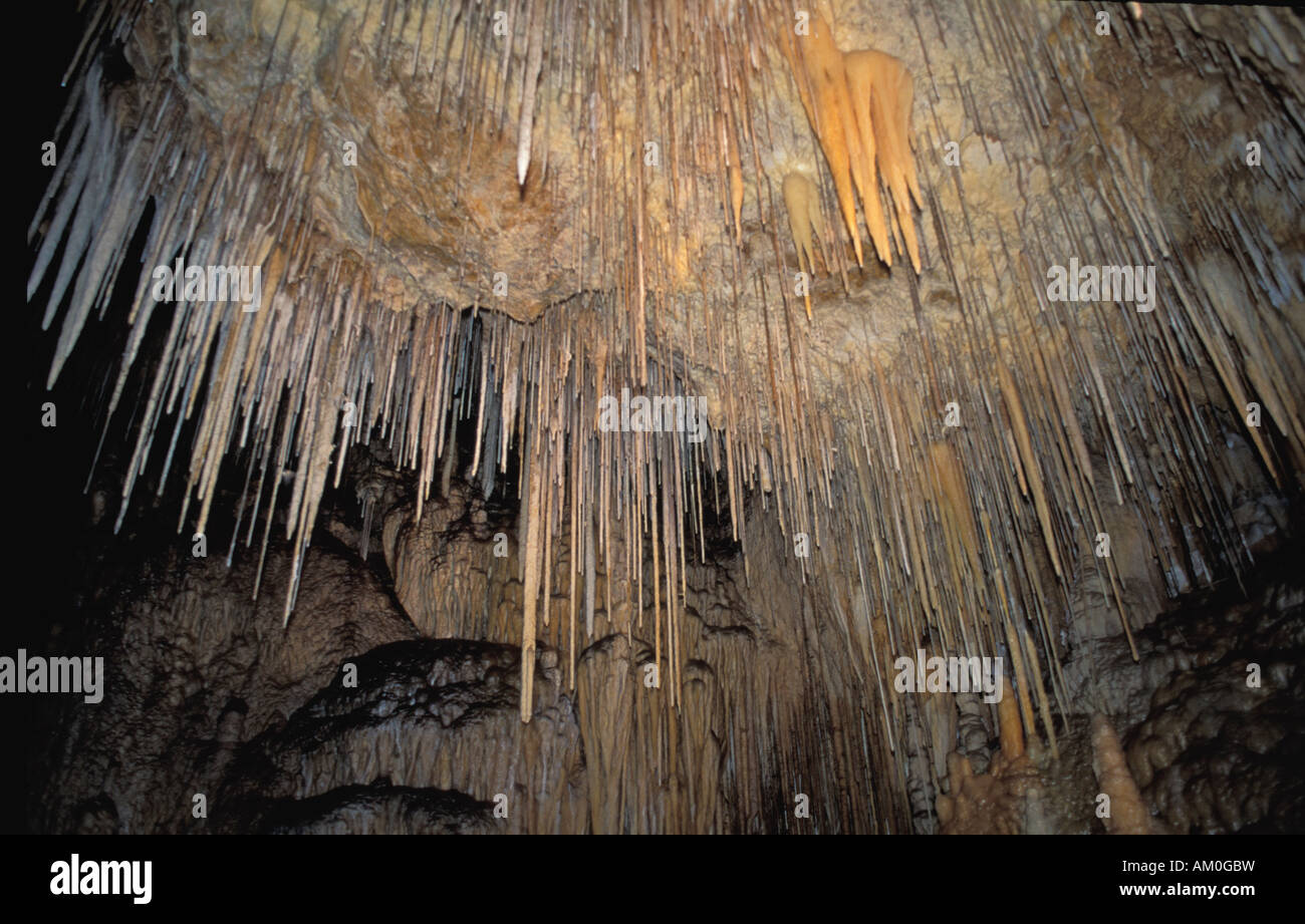 Australia, Tasmania, Cave Stock Photo - Alamy