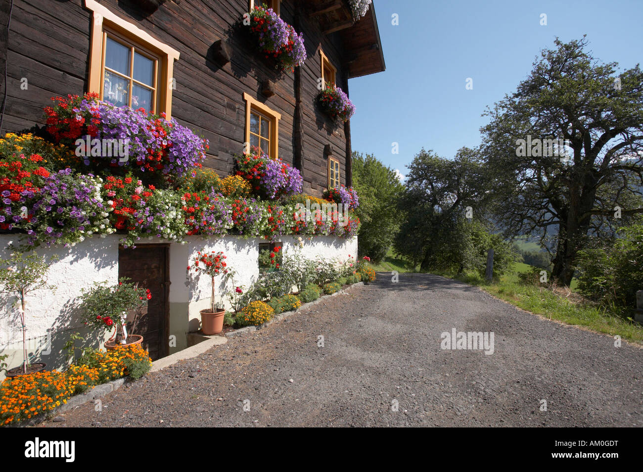 Farm, Carinthia, Austria Stock Photo - Alamy