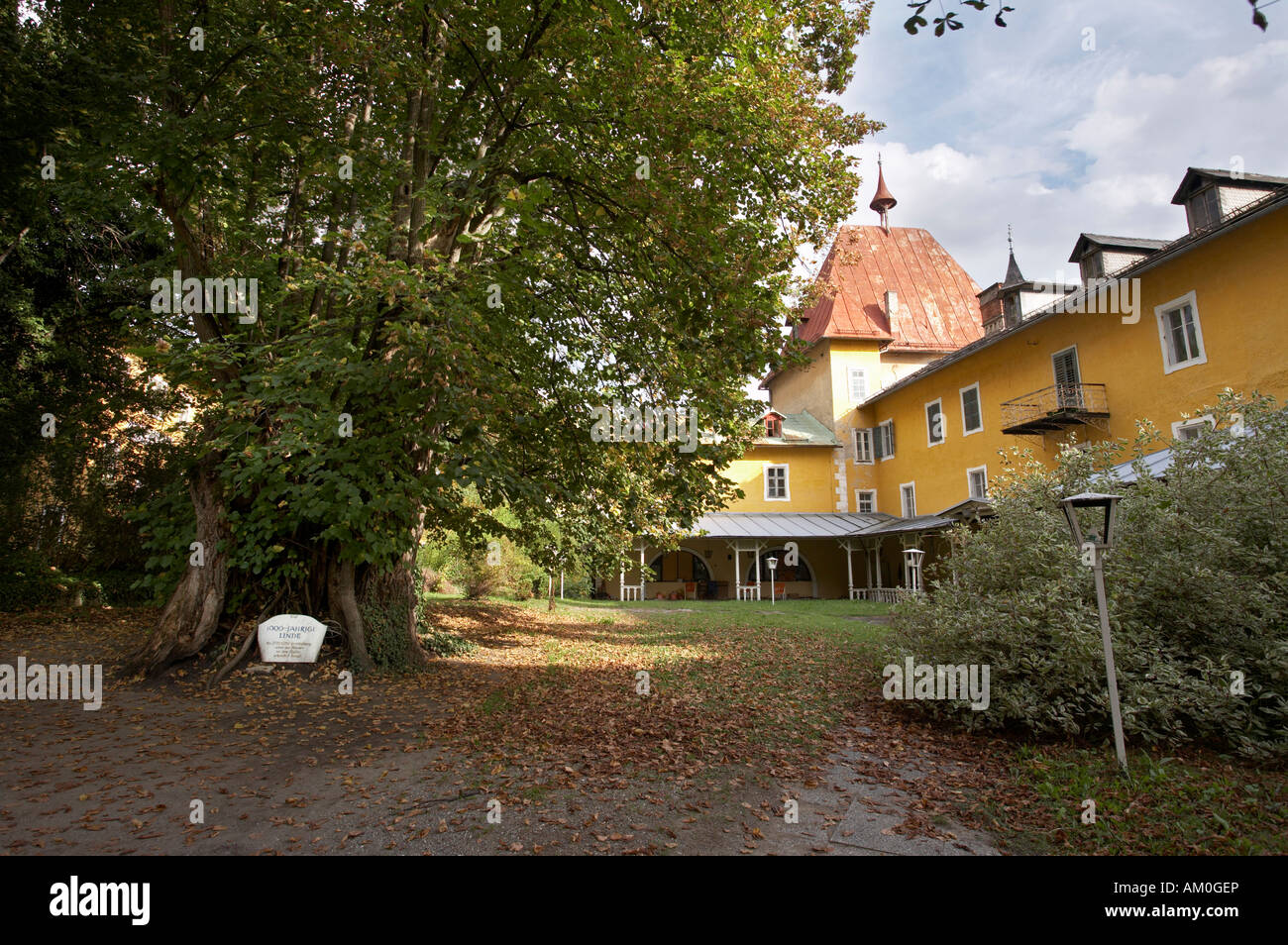 1000 jahrige linde hi-res stock photography and images - Alamy