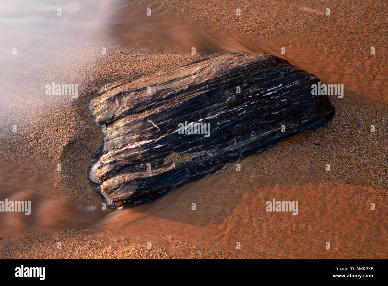 Washing sandy beach hi-res stock photography and images - Alamy