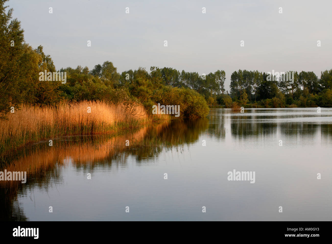 Wiltshire wildlife trust reserve hi-res stock photography and images ...