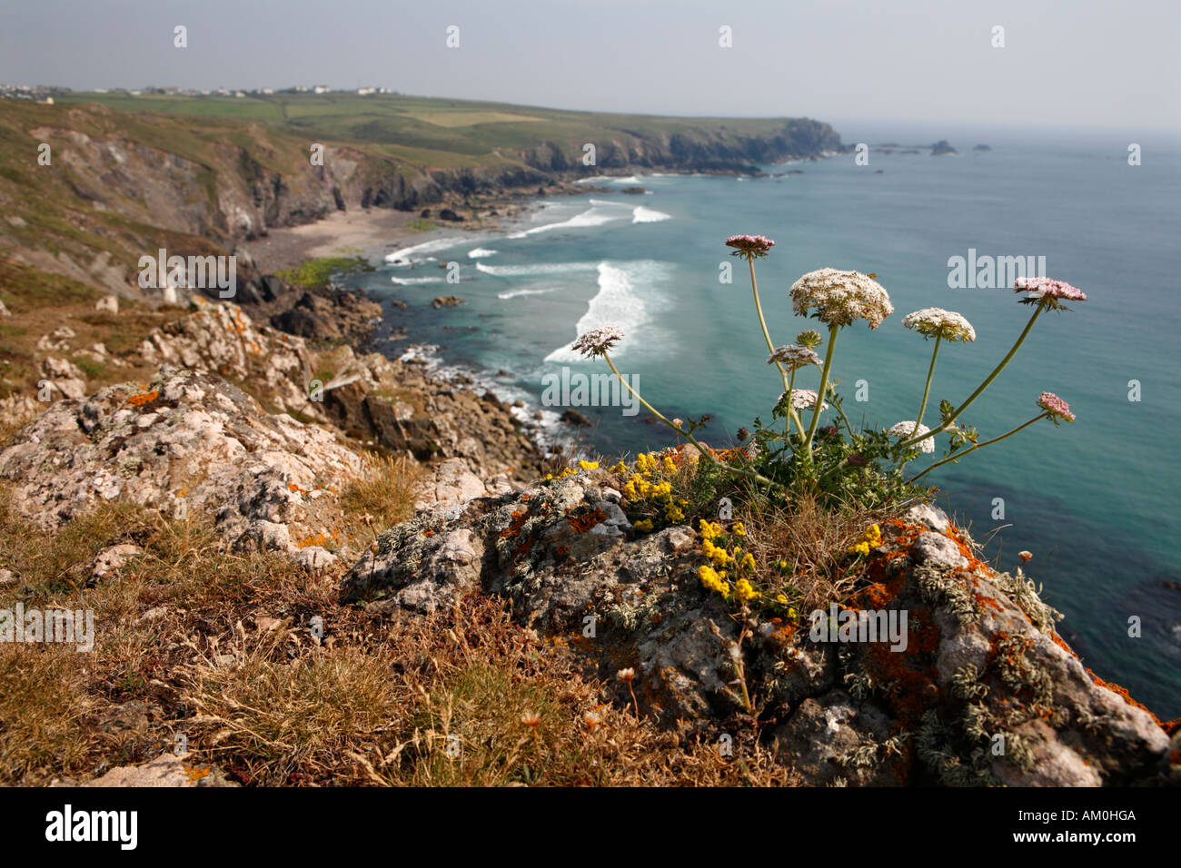 Cornwall Coast looking towards Lizard Point Stock Photo - Alamy