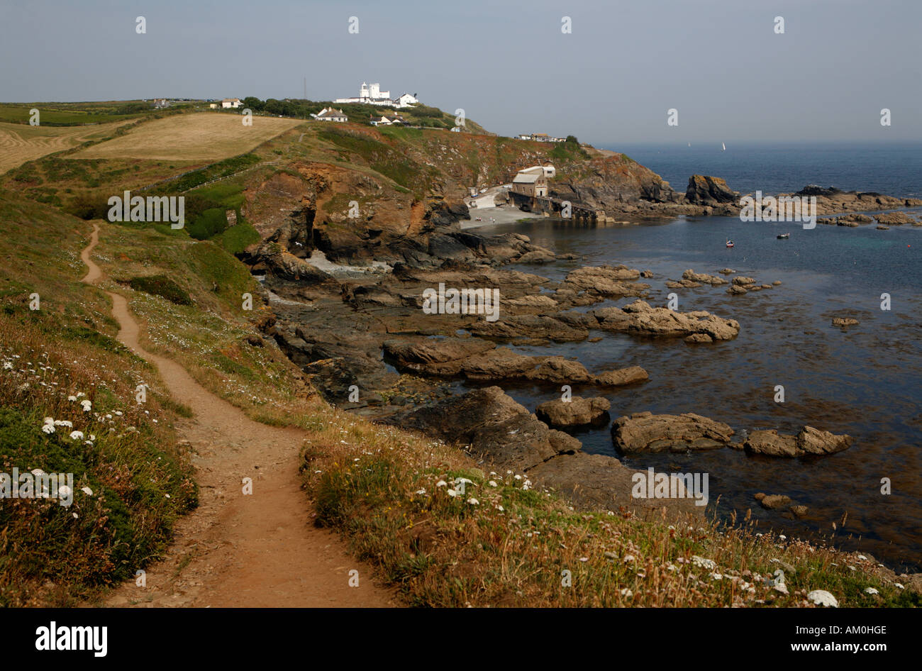 Lizard point light hi-res stock photography and images - Alamy