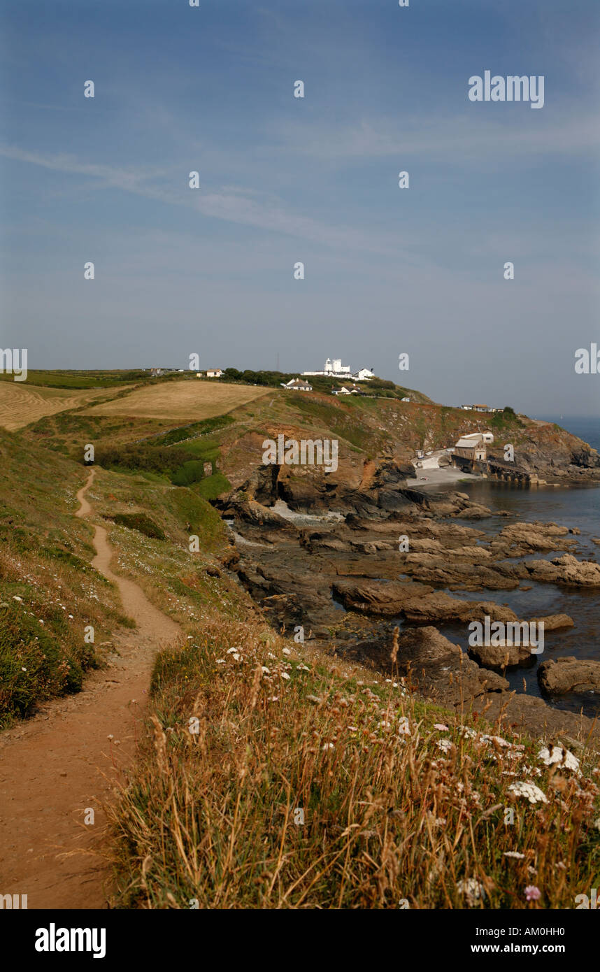 Lizard point light hi-res stock photography and images - Alamy