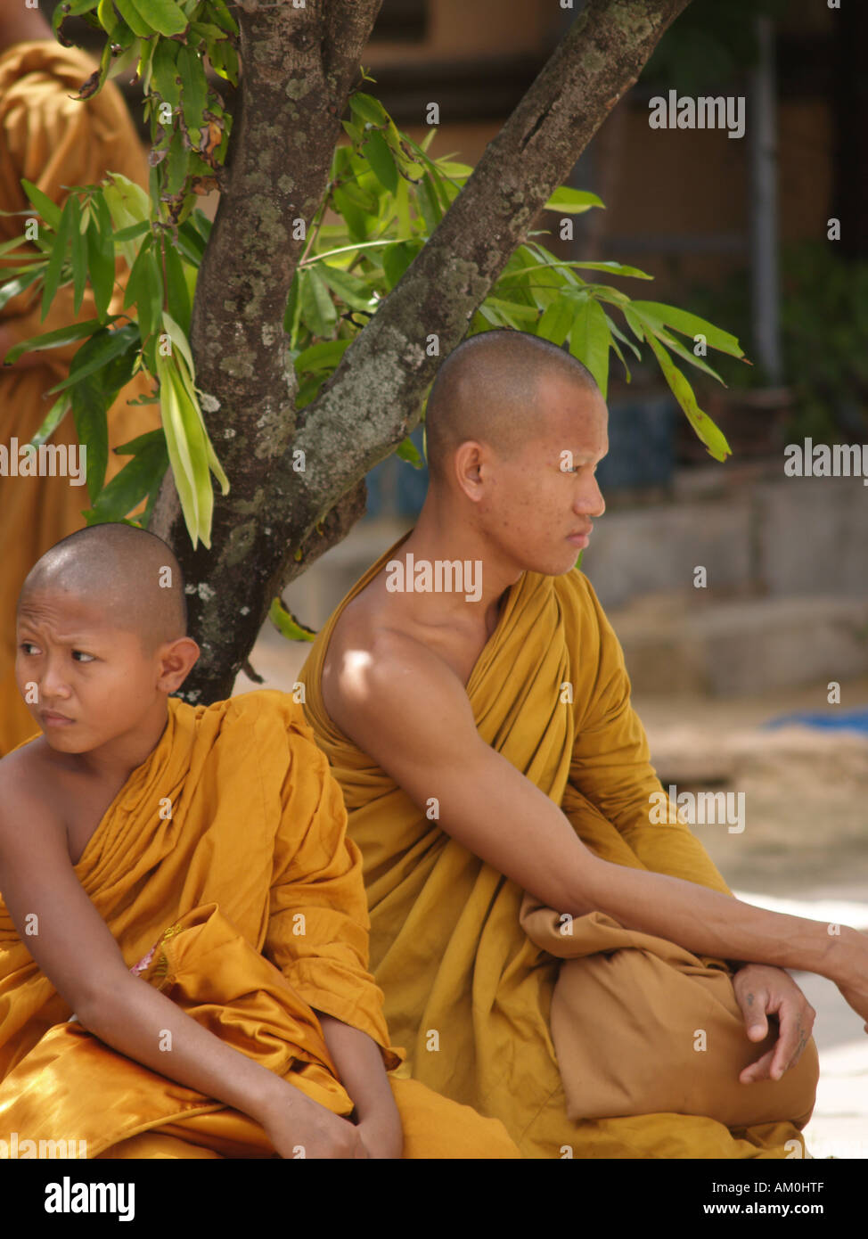 monks under a tree Stock Photo - Alamy