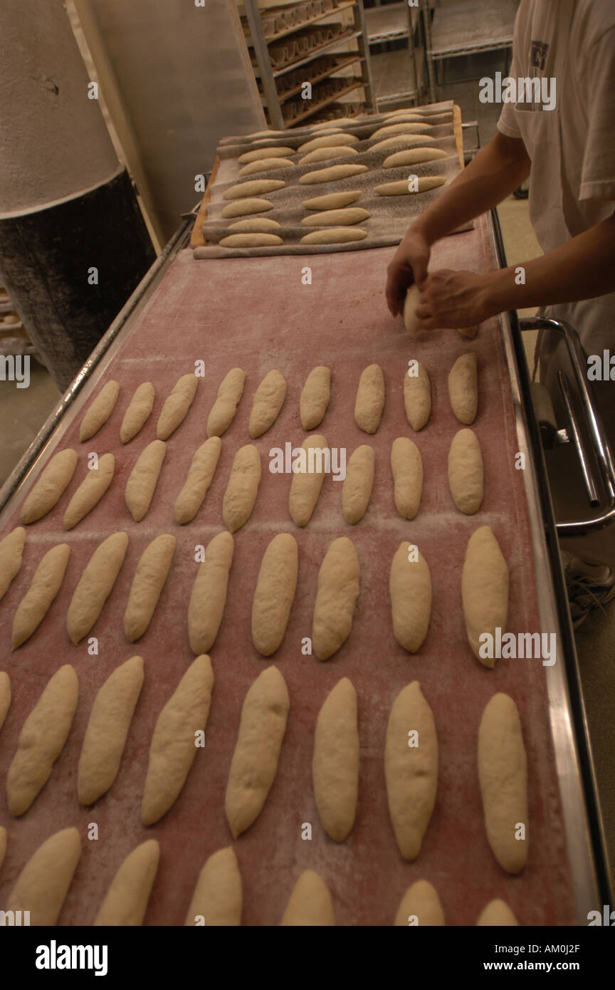 Bakers laying down loaves of raw dough, preparing them for the oven ...
