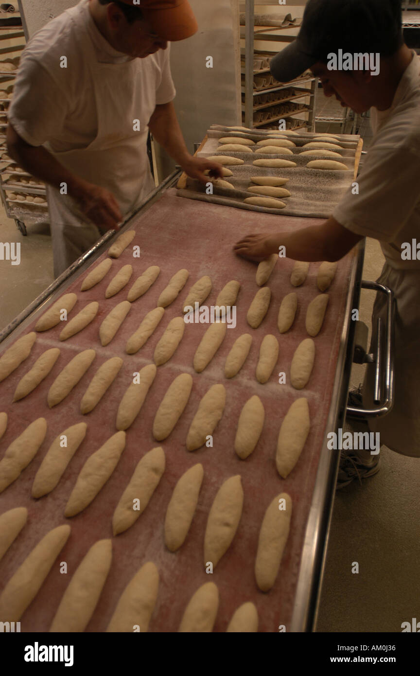 Bakers laying down loaves of raw dough, preparing them for the oven ...