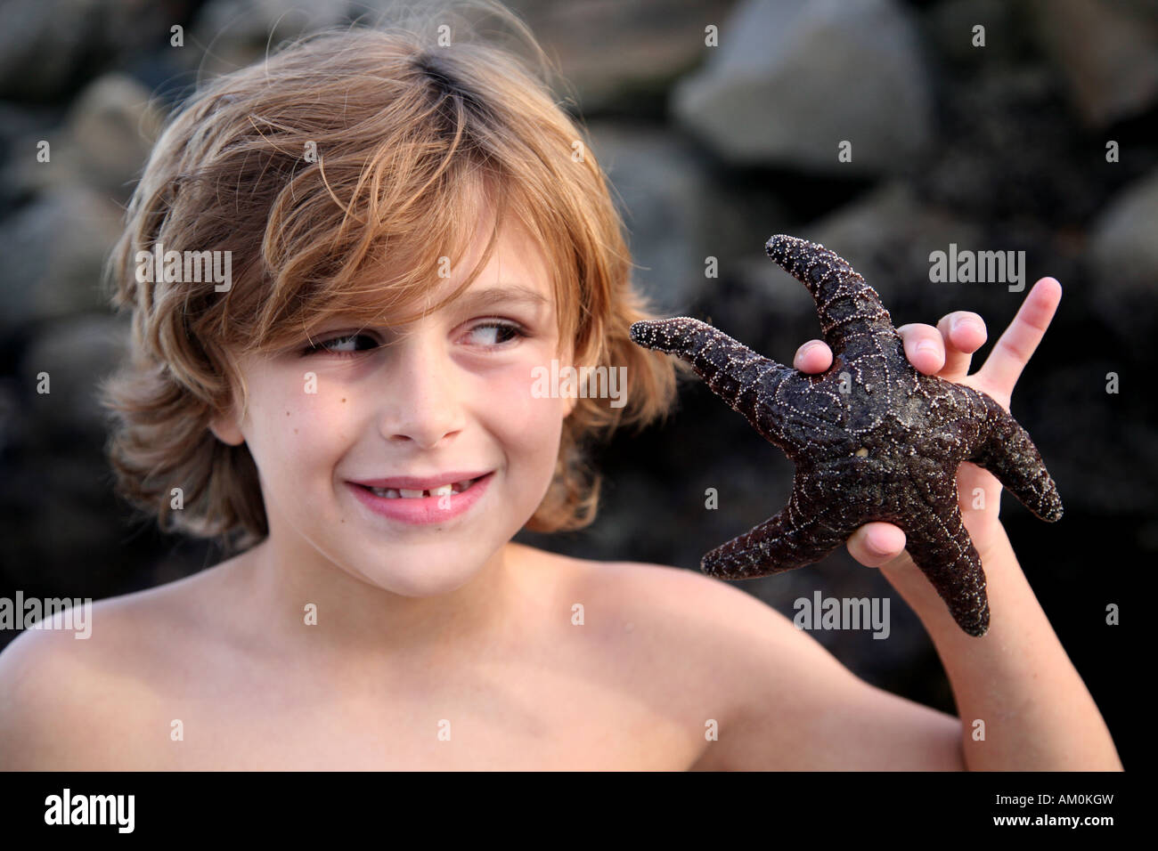 Five point star fish hi-res stock photography and images - Alamy
