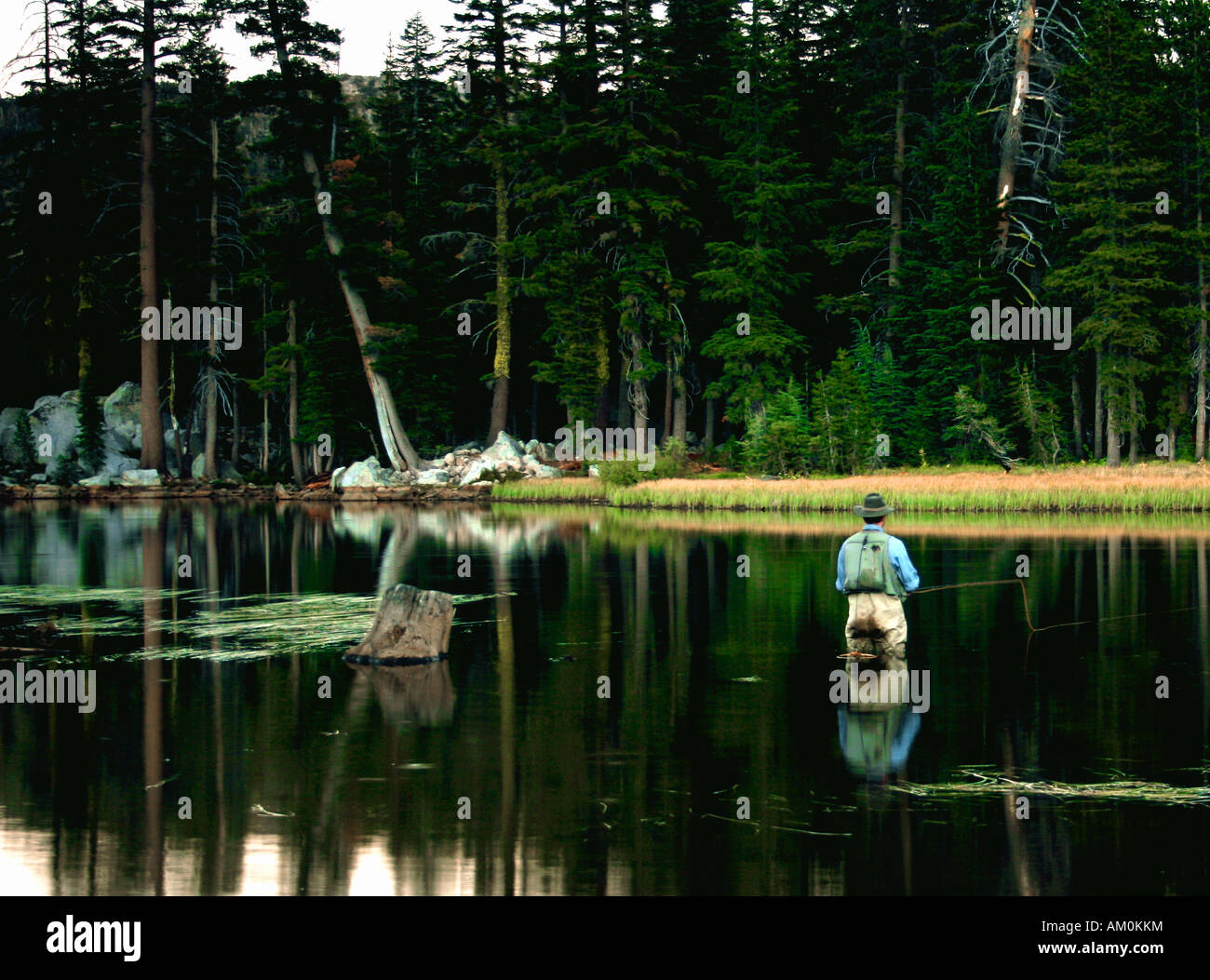 Fly fishing america scenery hi-res stock photography and images - Alamy