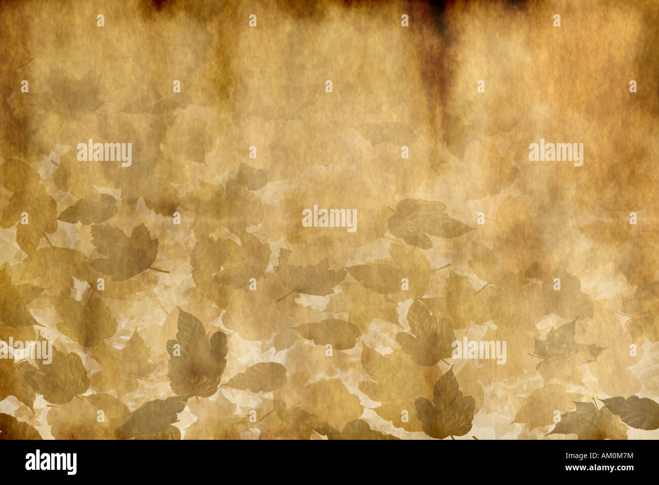 large background of old worn parchment with leafy pattern Stock Photo ...