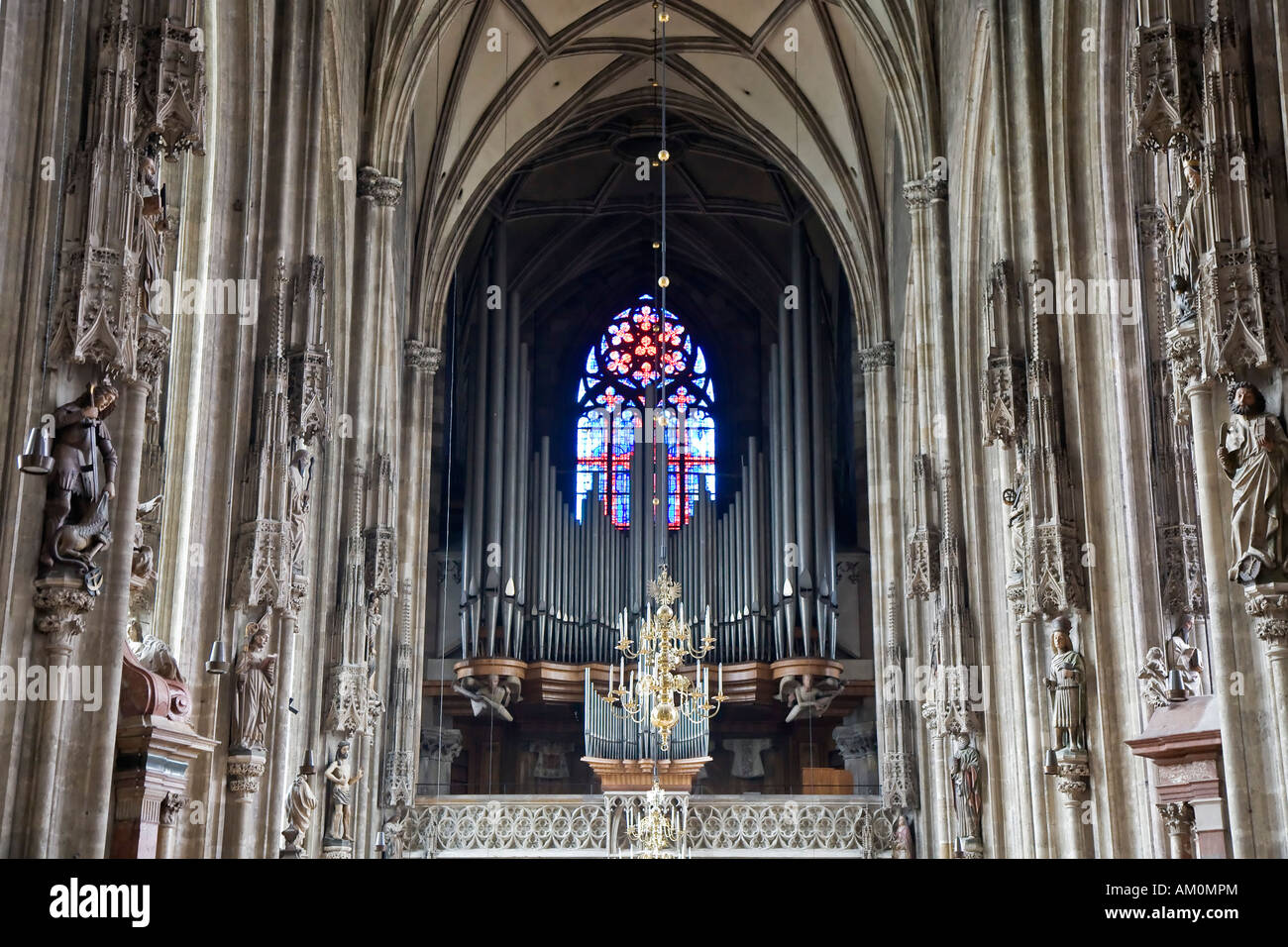 Interior view with organ Stephansdom Vienna Austria Stock Photo - Alamy