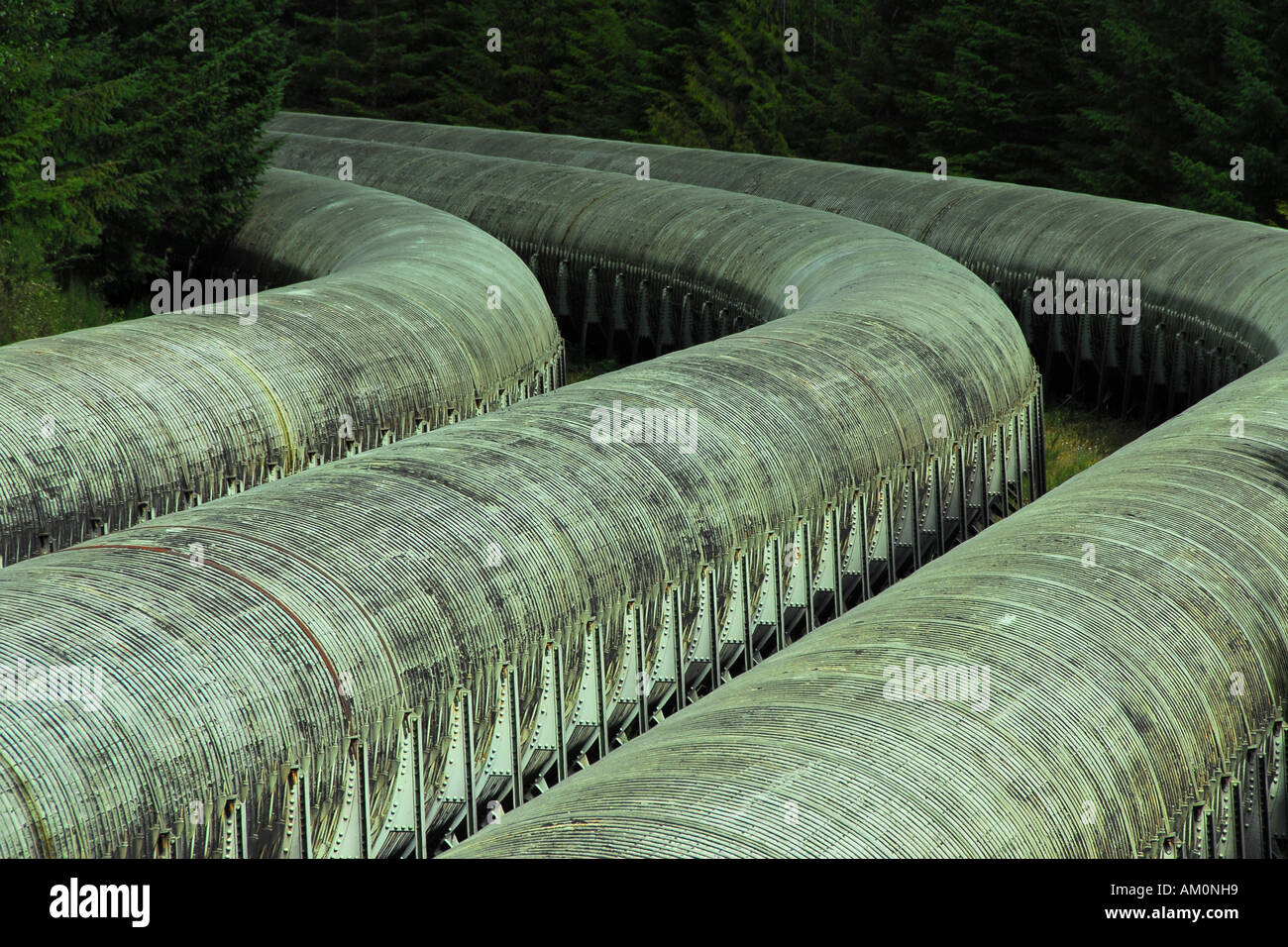 Water pipes turning through the forest Stock Photo - Alamy