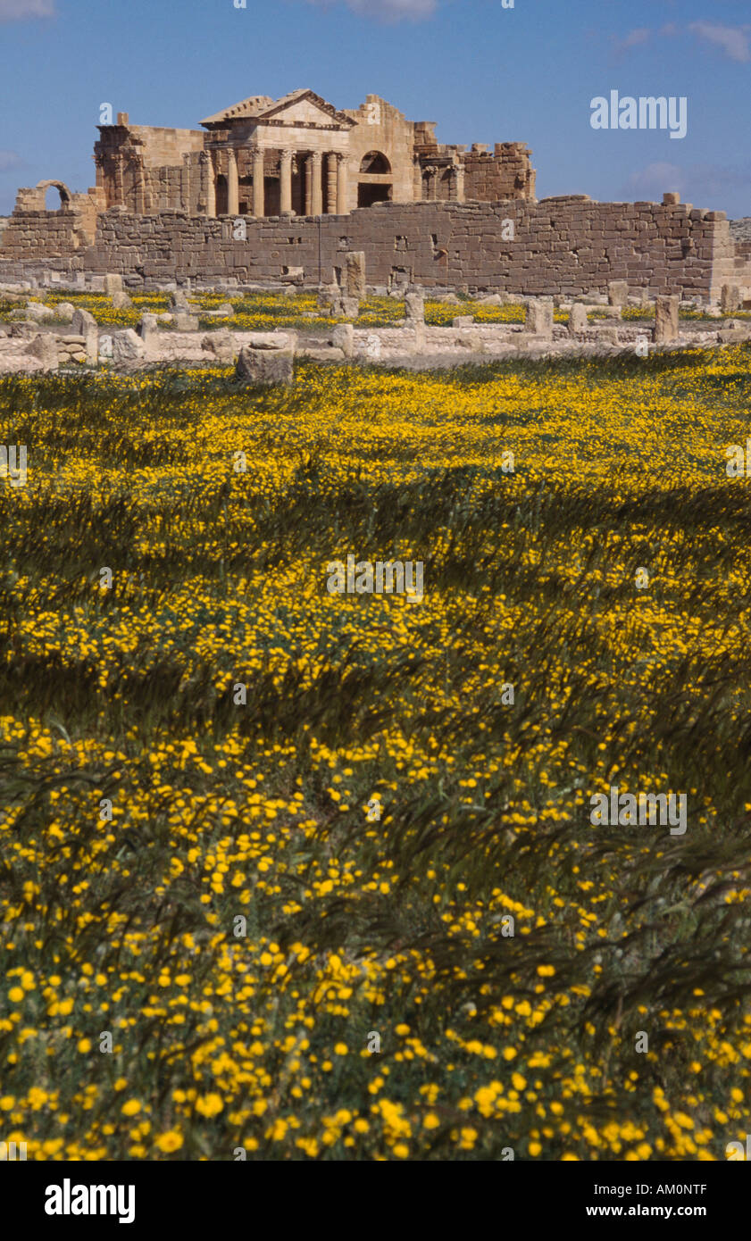 Sbeitla tunisia hi-res stock photography and images - Alamy