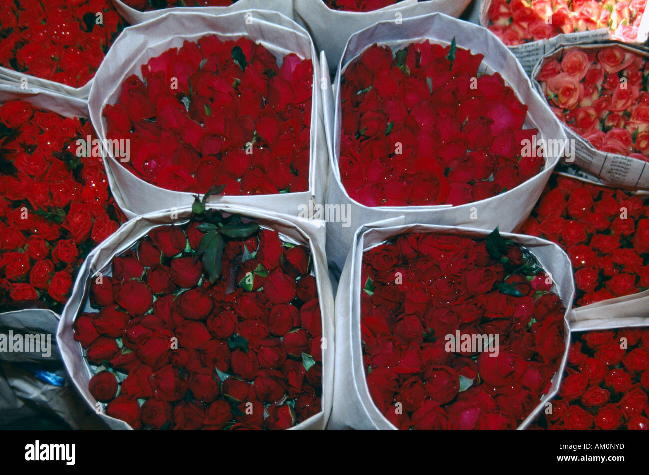 THAILAND Southeast Asia Bangkok Close up of bunches of red Roses on ...