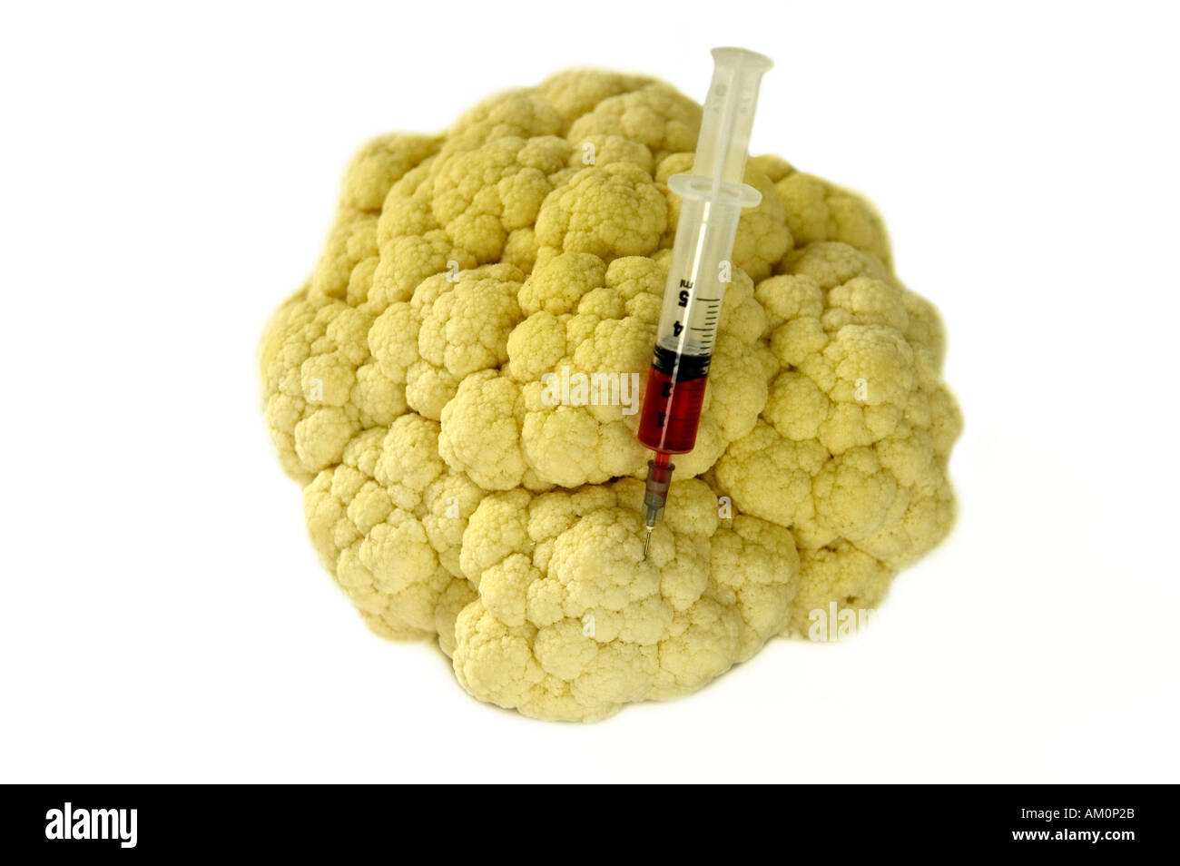 syringe in a cauliflower gm ogm food genetic modificarion genetically ...