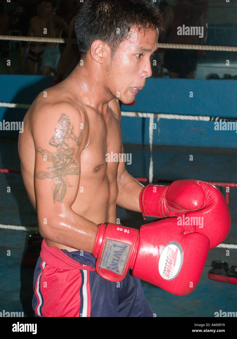 kickboxer training, Phnom Penh Stock Photo - Alamy