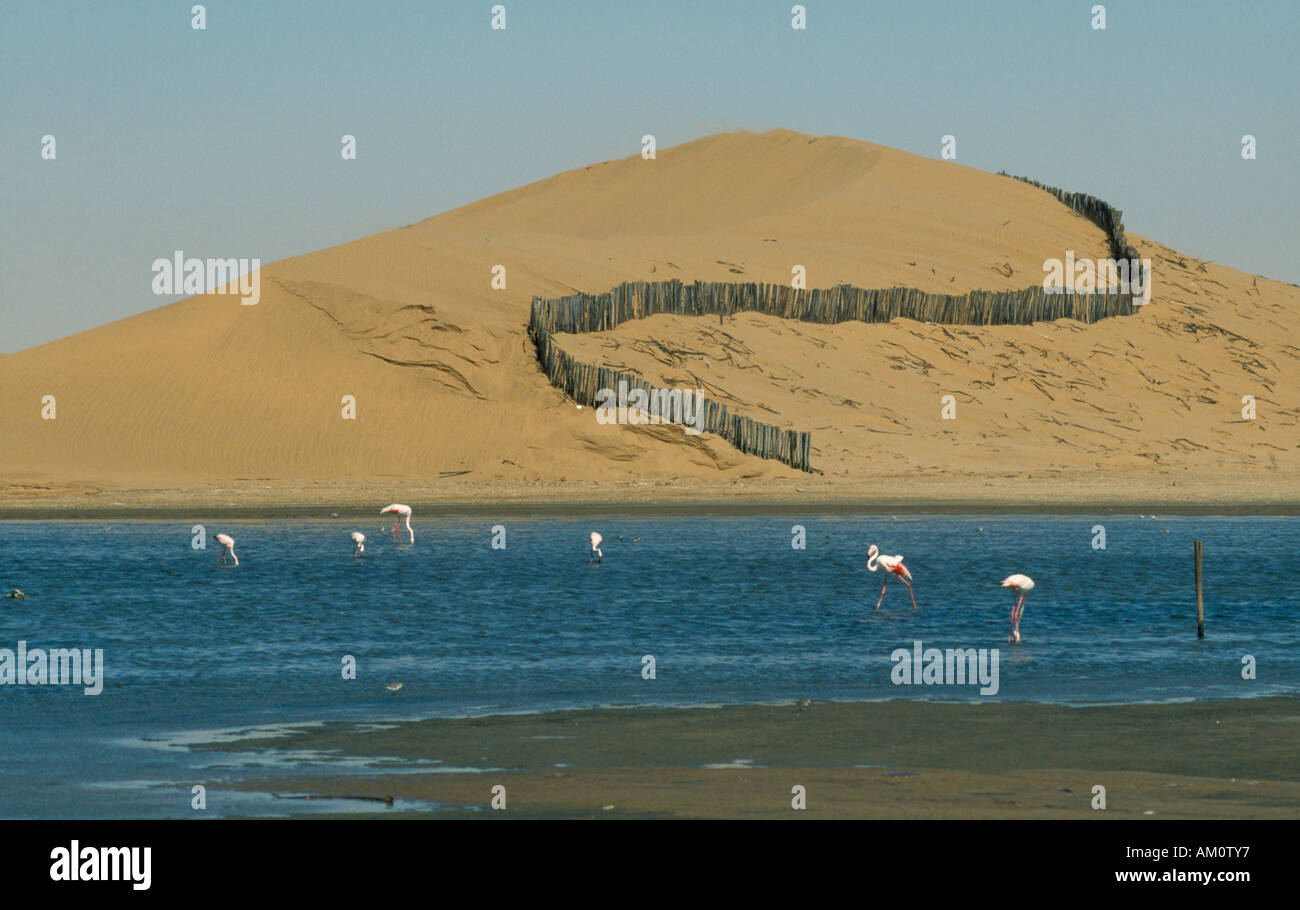 NAMIBIA Walvis Bay Stock Photo - Alamy