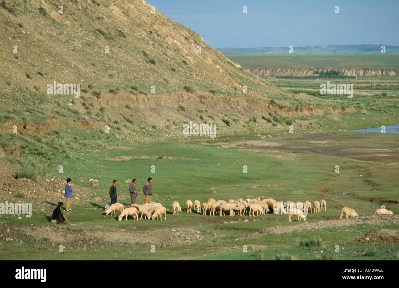 Mongo agriculture hi-res stock photography and images - Alamy