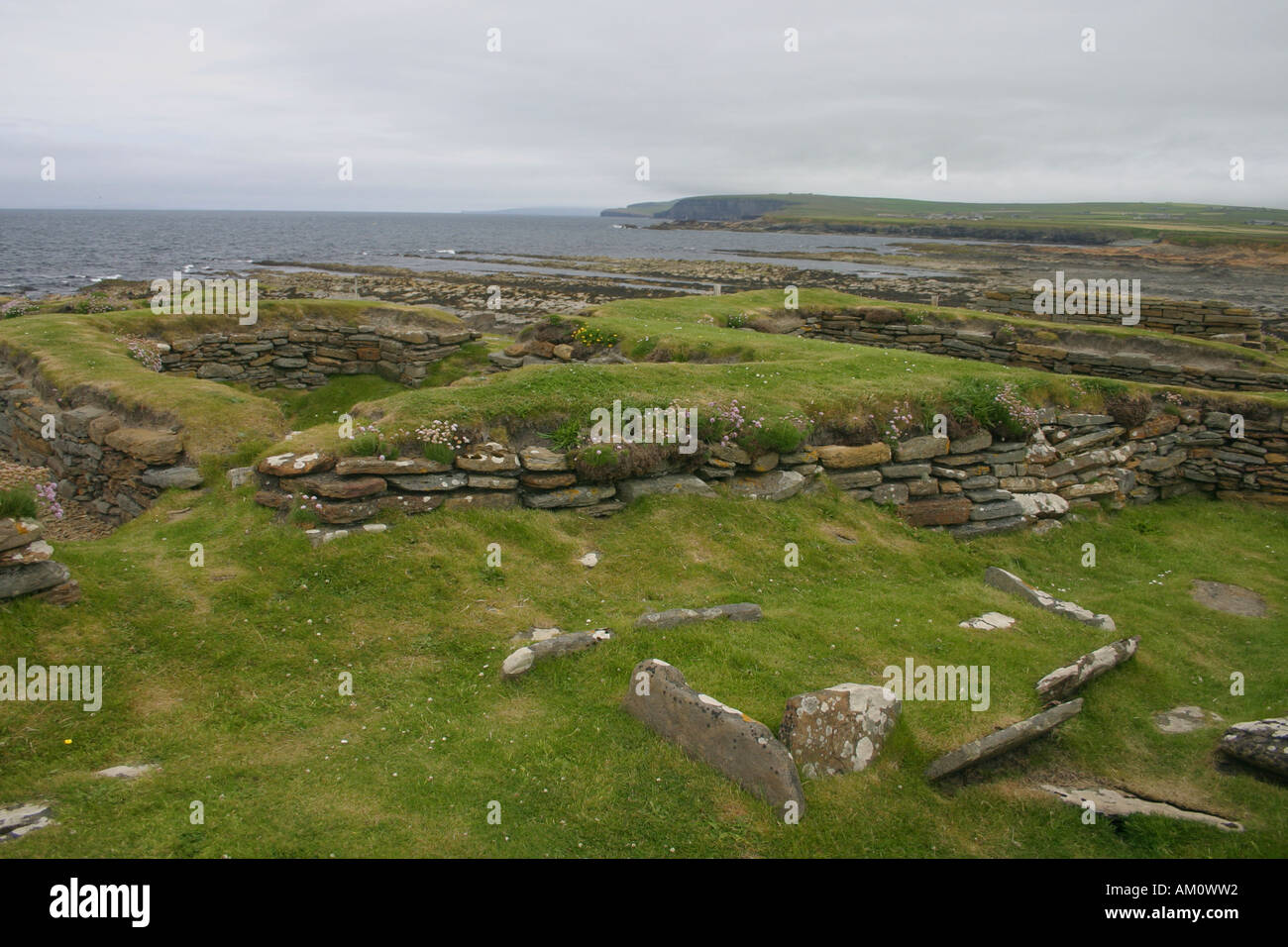The Brough of Birsay on Orkney, Scotland Stock Photo - Alamy