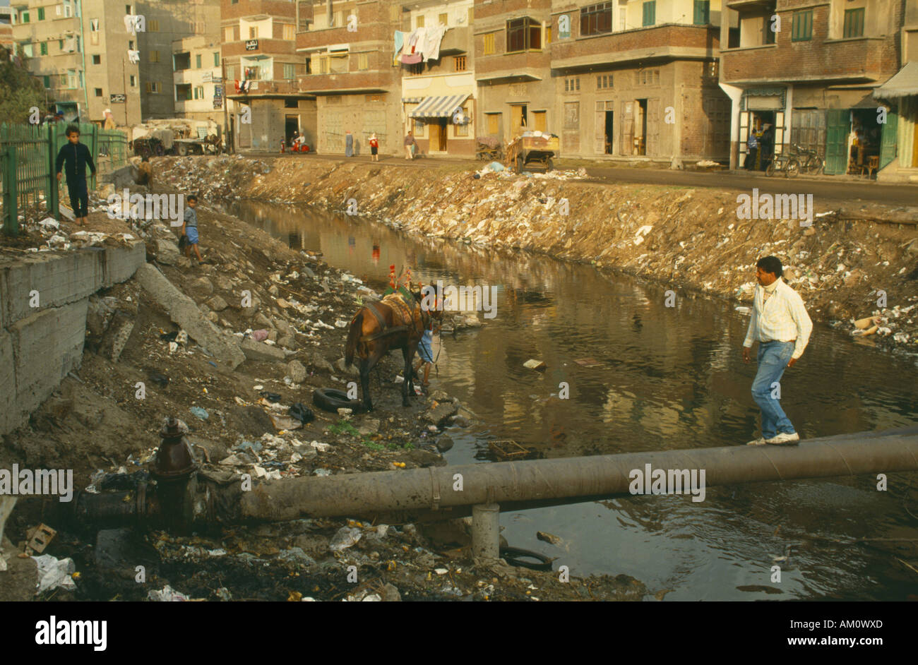 Damietta hi-res stock photography and images - Alamy