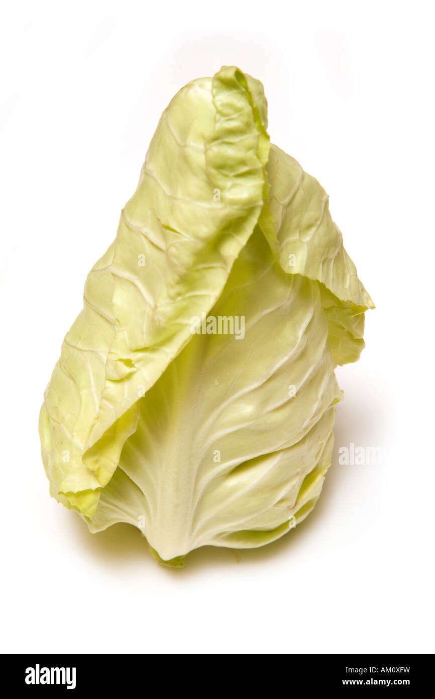 Baby cabbage isolated on a white studio background Stock Photo - Alamy