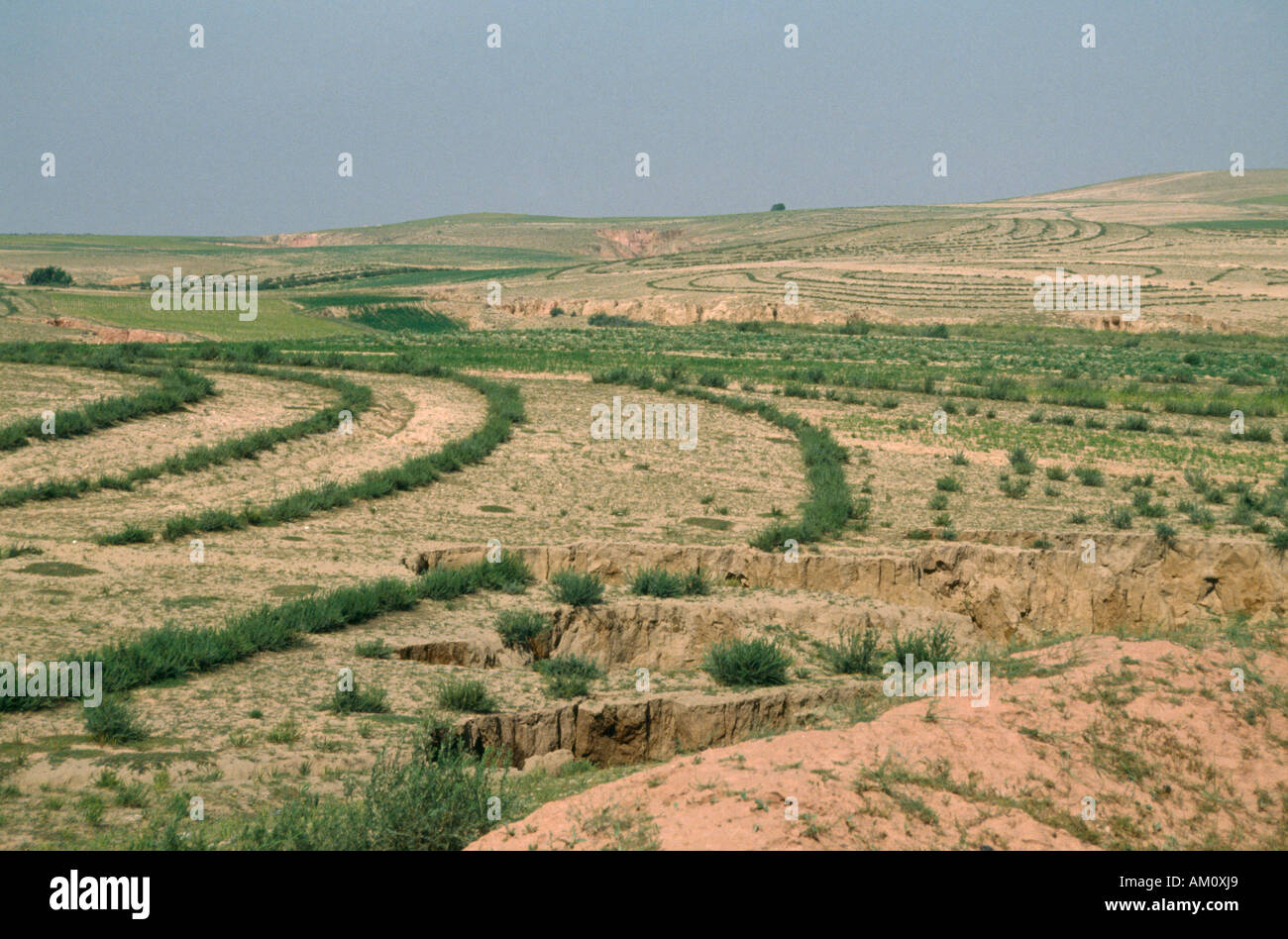 Mongol uls hi-res stock photography and images - Alamy