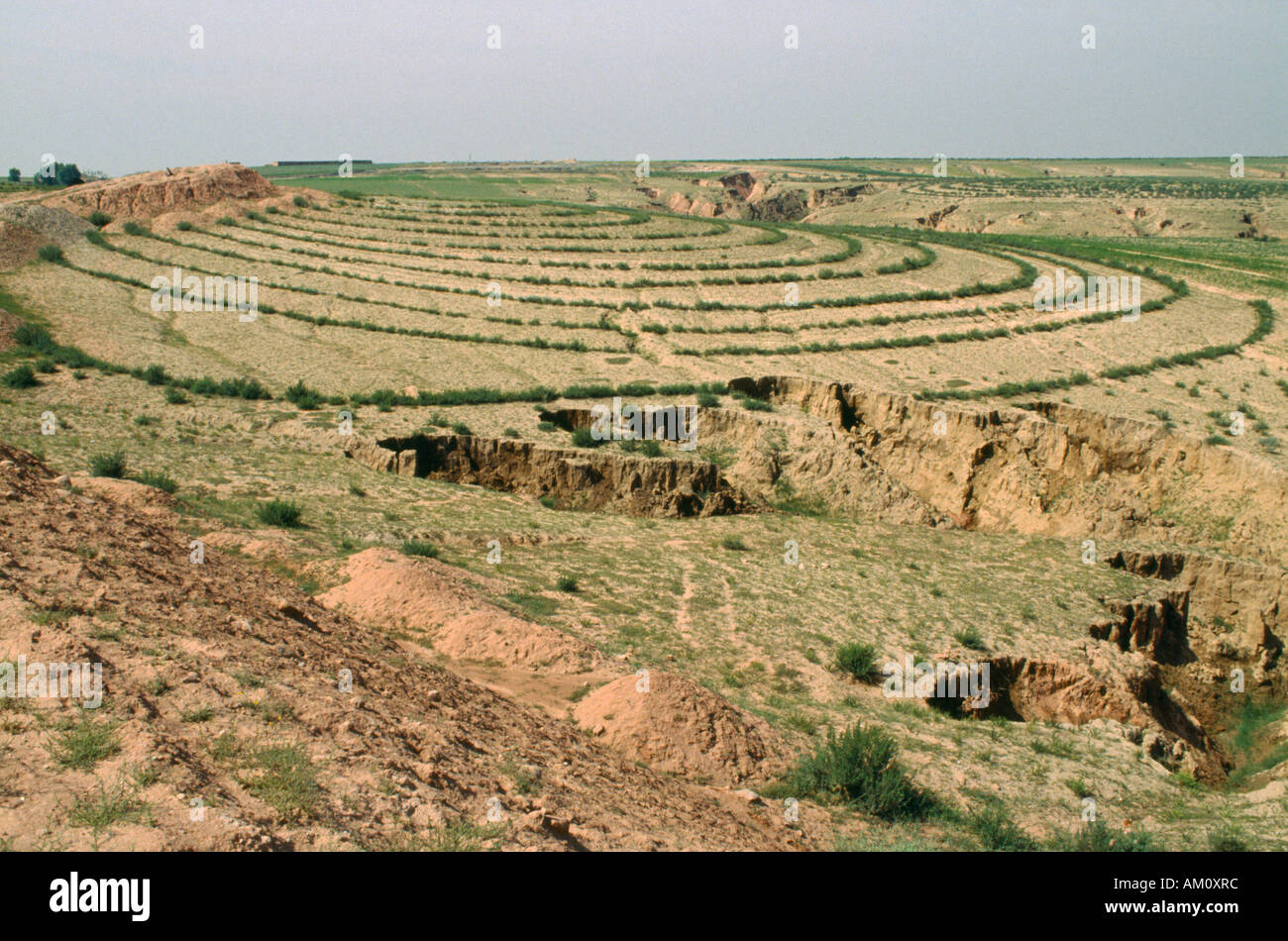 CHINA Agriculture Environment Contoured planting showing soil erosion ...