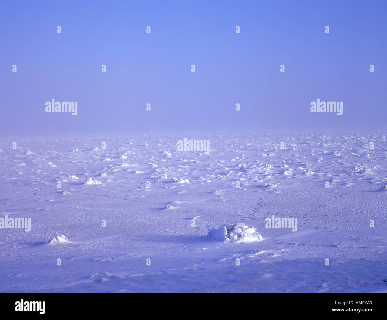Frozen Sea Ice Wapusk National Park Hudson Bay with Freezing Fog Sub ...
