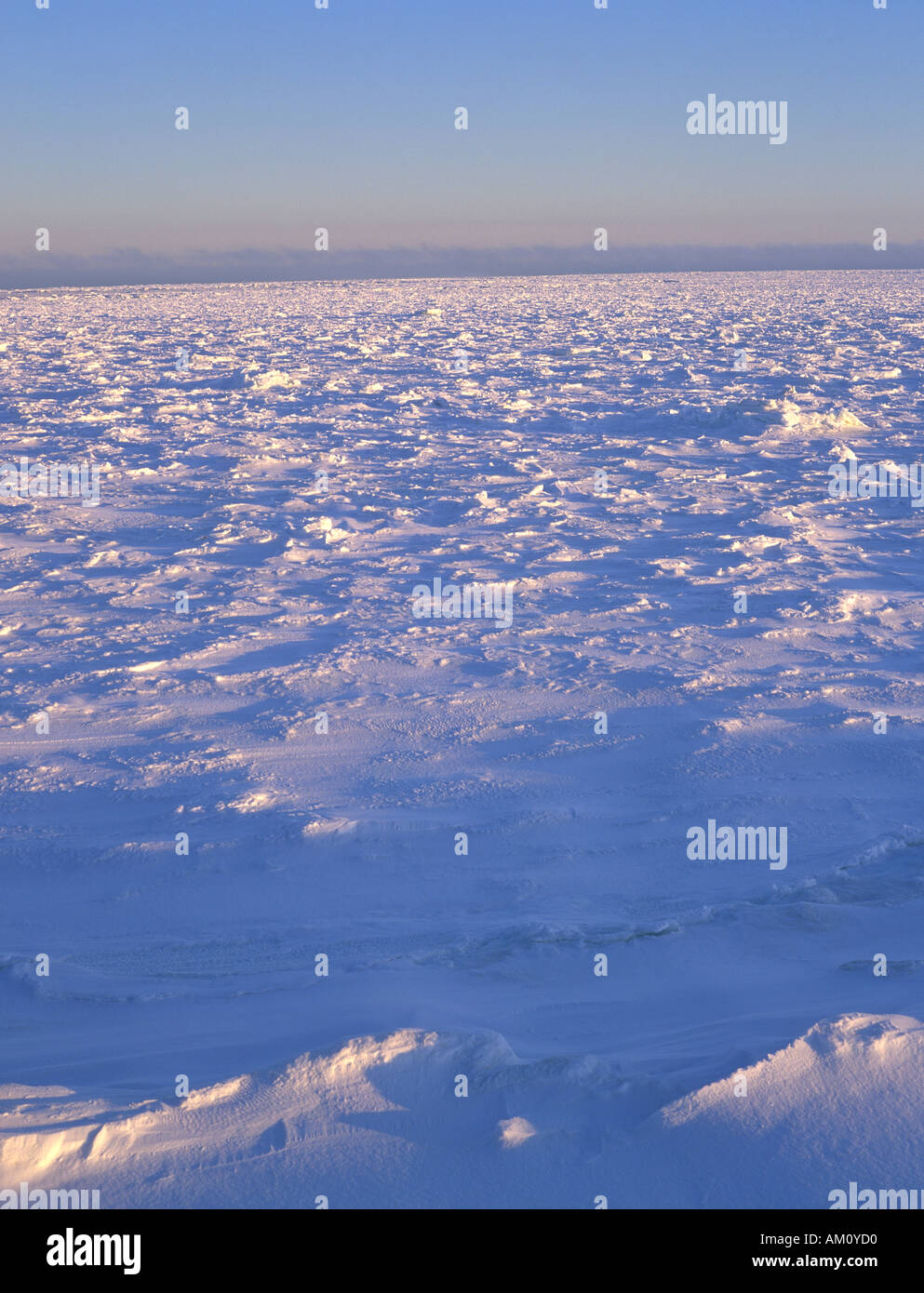 Snow cape and frozen sea. Wapusk National Park, Hudson Bay, Manitoba ...