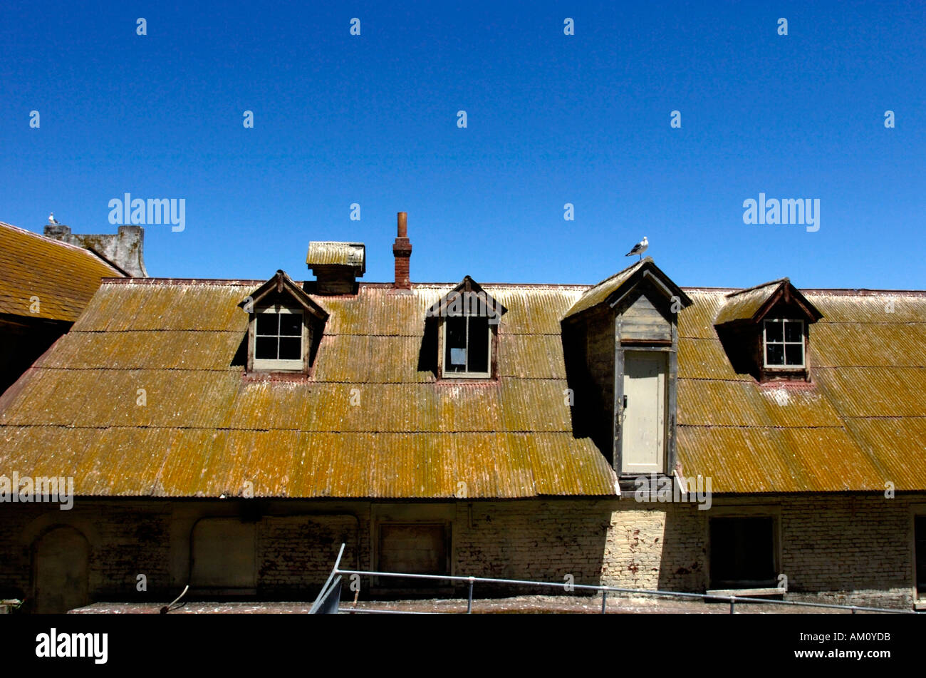 Metal roof with algae on building on Alcatraz island San Francisco ...