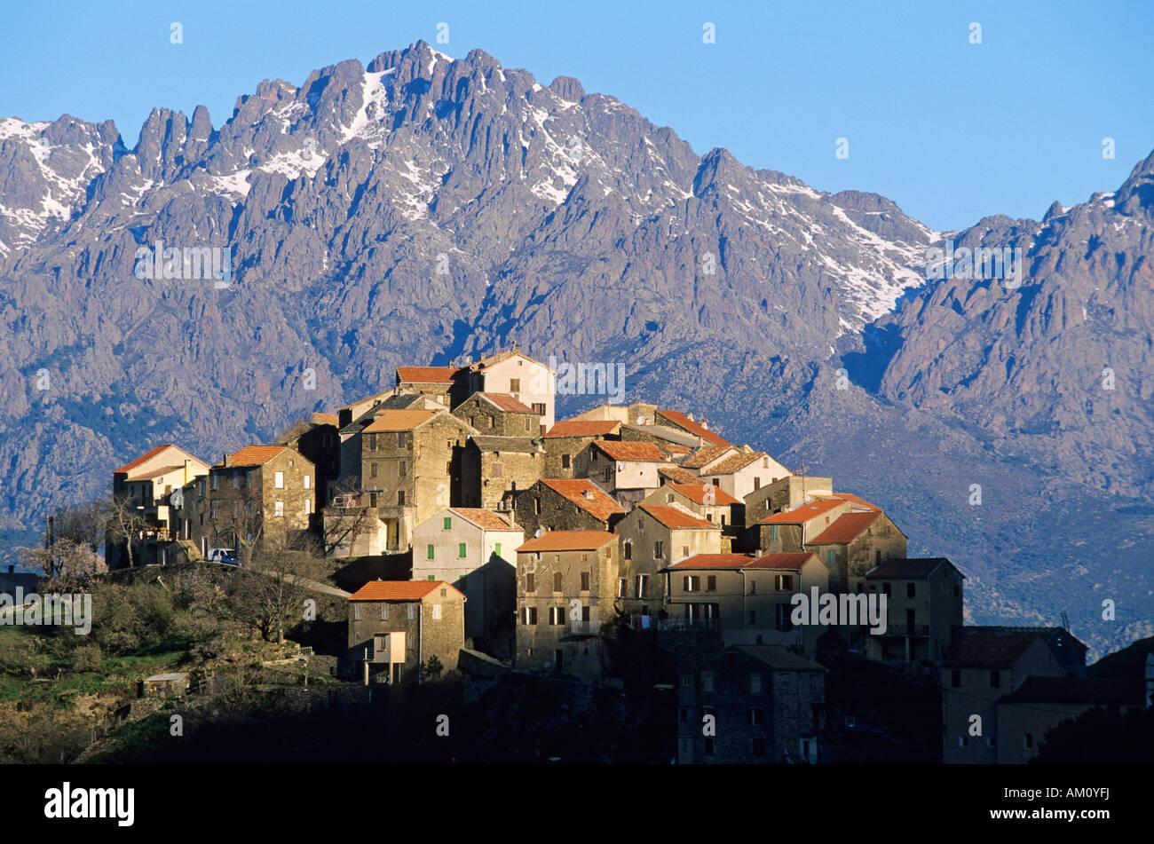 France, Corsica, Haute Corse, Tralonca village Stock Photo - Alamy