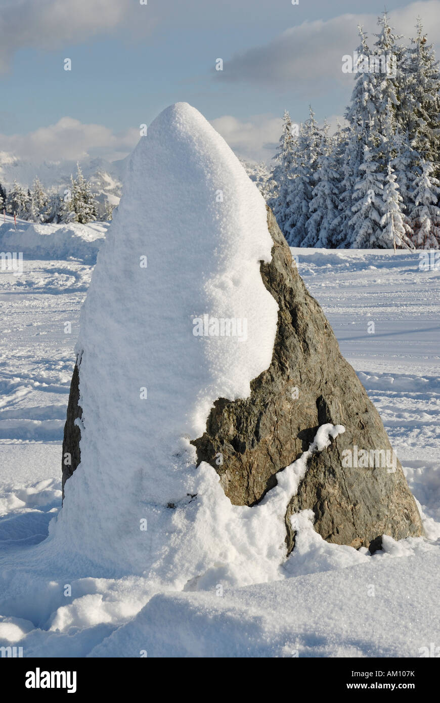 Snow covered bolder of metamorphic, crystalline Grauwacken slate ...