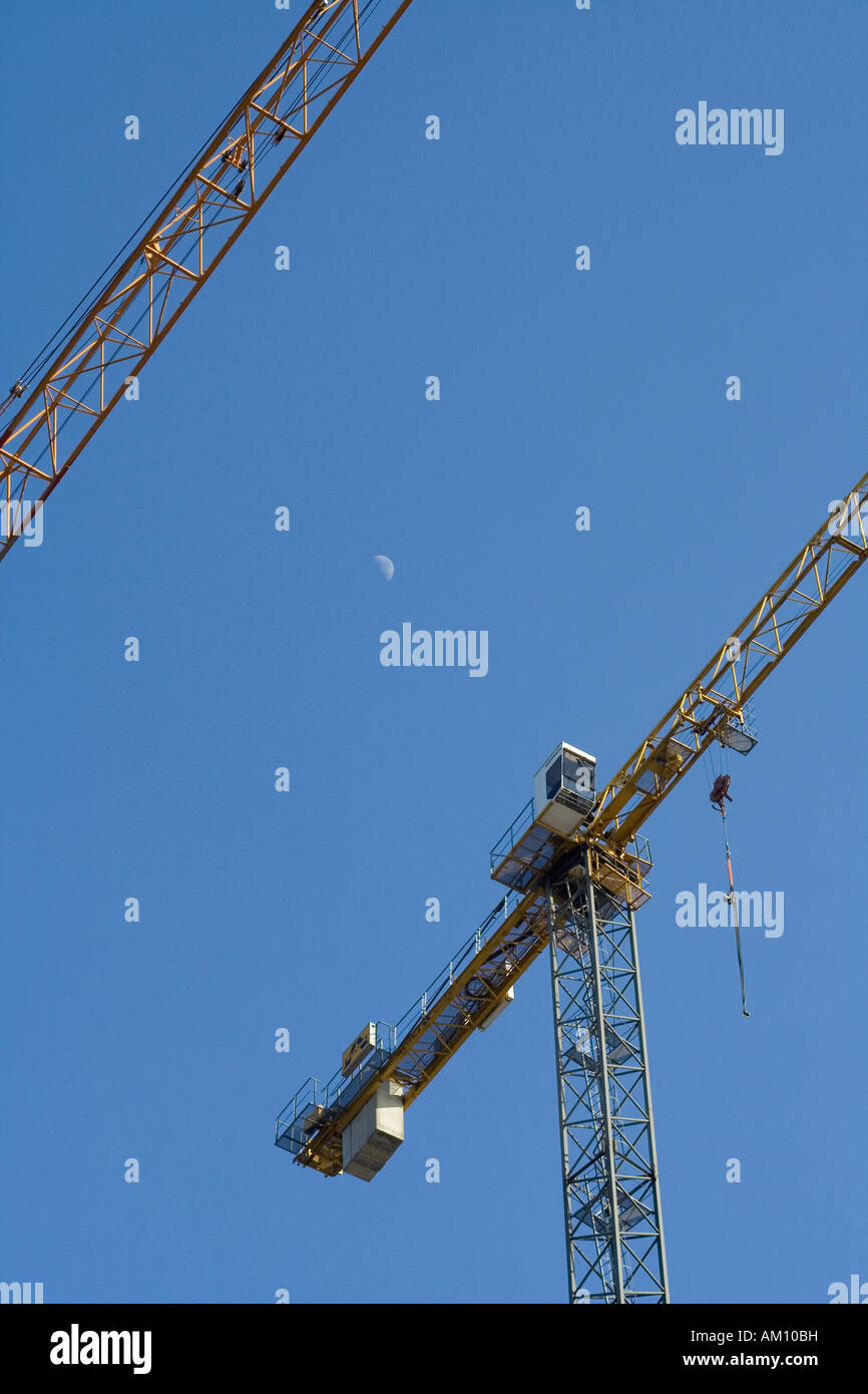 Cranes and moon Stock Photo - Alamy