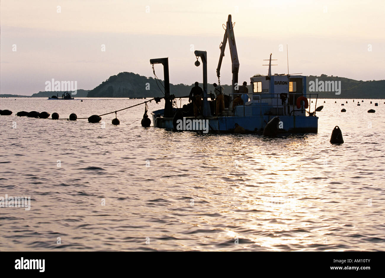 France, Corsica, Haute Corse, north of Aleria, Etang de Diane ...