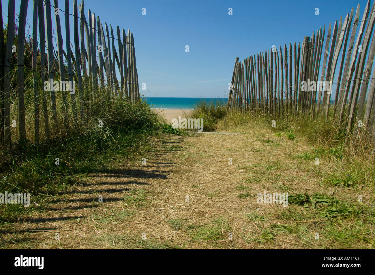 Path to the sea Stock Photo - Alamy