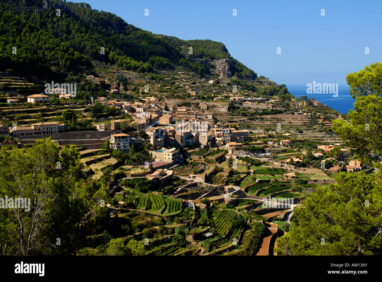 The terraces of Banyalbufar, Majorca, Spain Stock Photo - Alamy