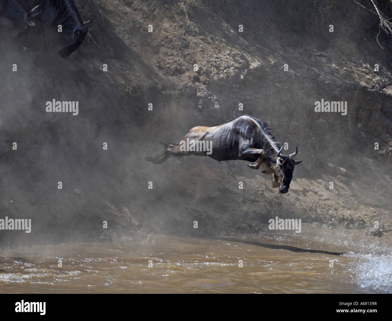 Gnu jump hi-res stock photography and images - Alamy