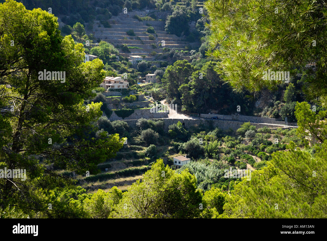 The terraces of Banyalbufar, Majorca, Spain Stock Photo - Alamy