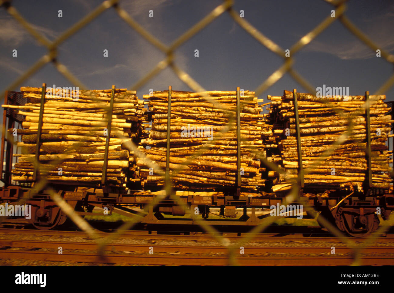 Timber shipment rail train hi-res stock photography and images - Alamy