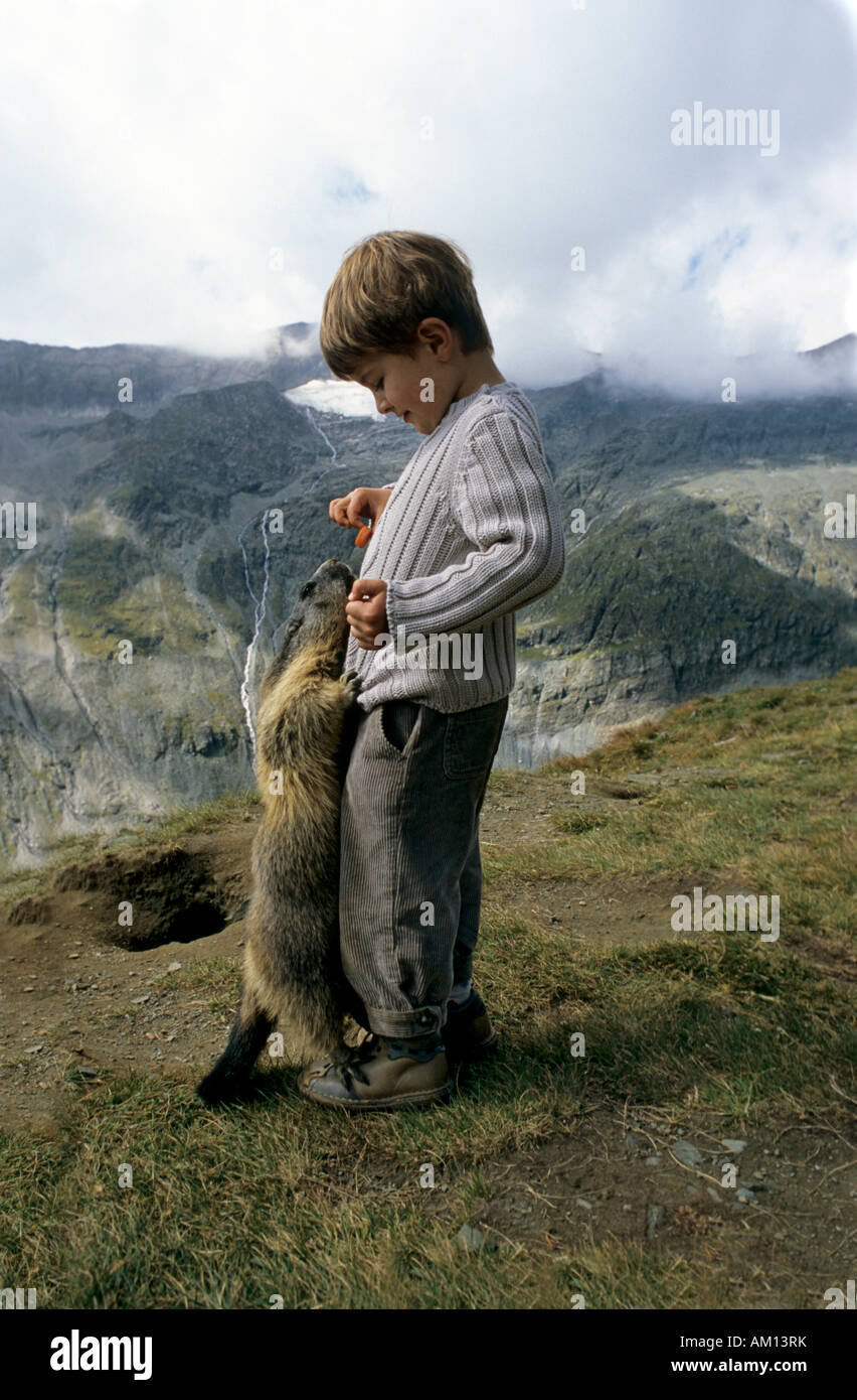 Marmot being fed by a child hi-res stock photography and images - Alamy