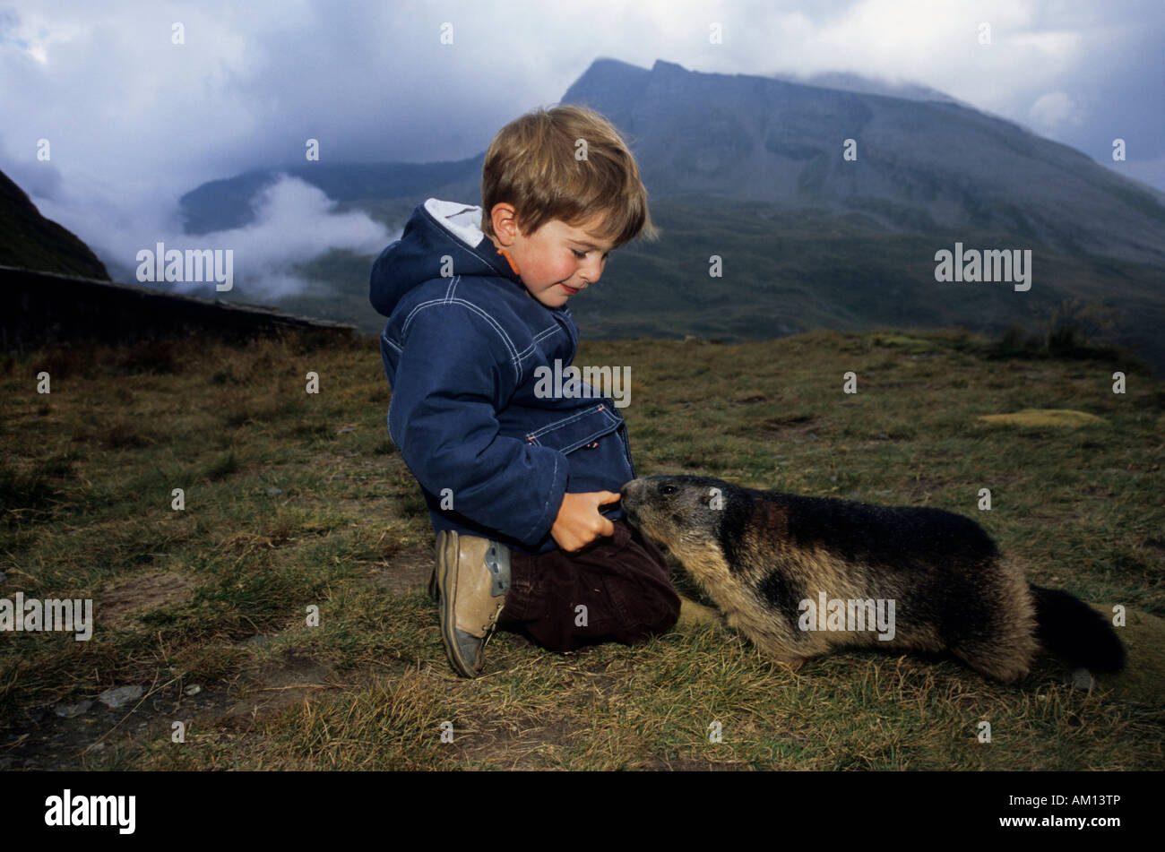Marmot being fed by a child hi-res stock photography and images - Alamy