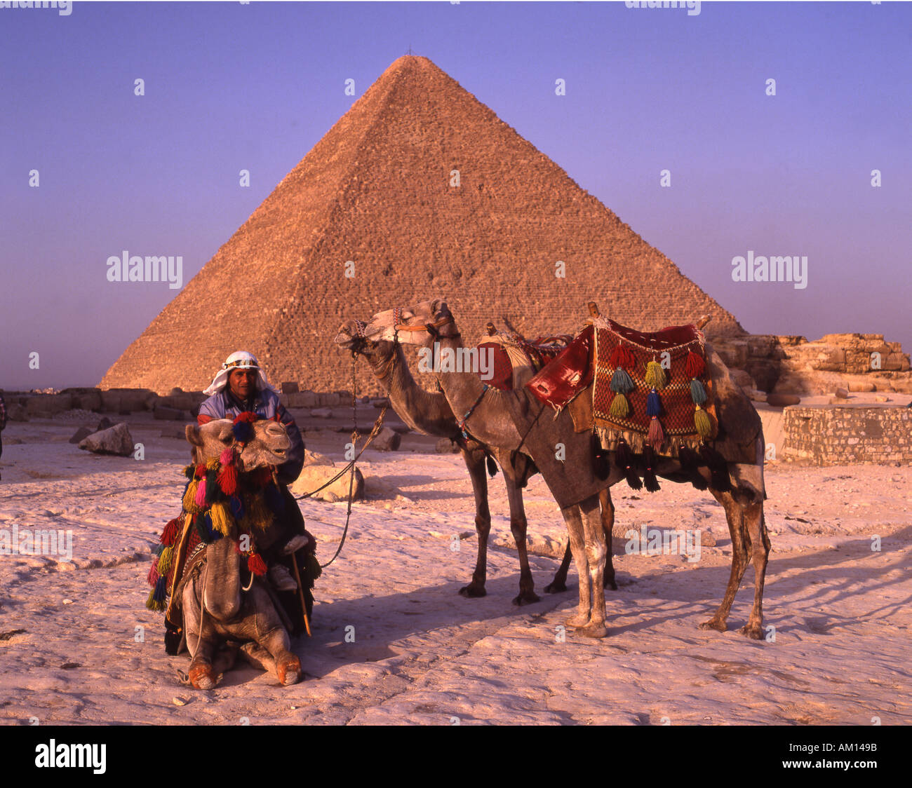Egypt Giza pyramids camel driver man people Stock Photo - Alamy