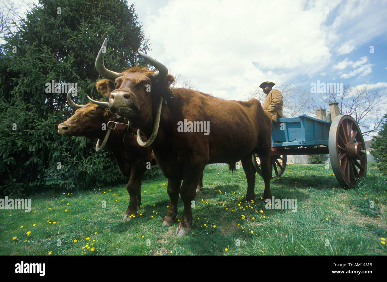 Living History scene of early colonial life in Williamsburg Virginia ...