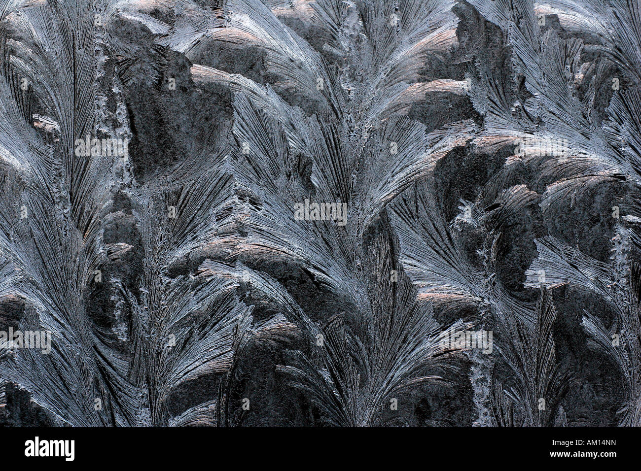 Car frost hi-res stock photography and images - Alamy