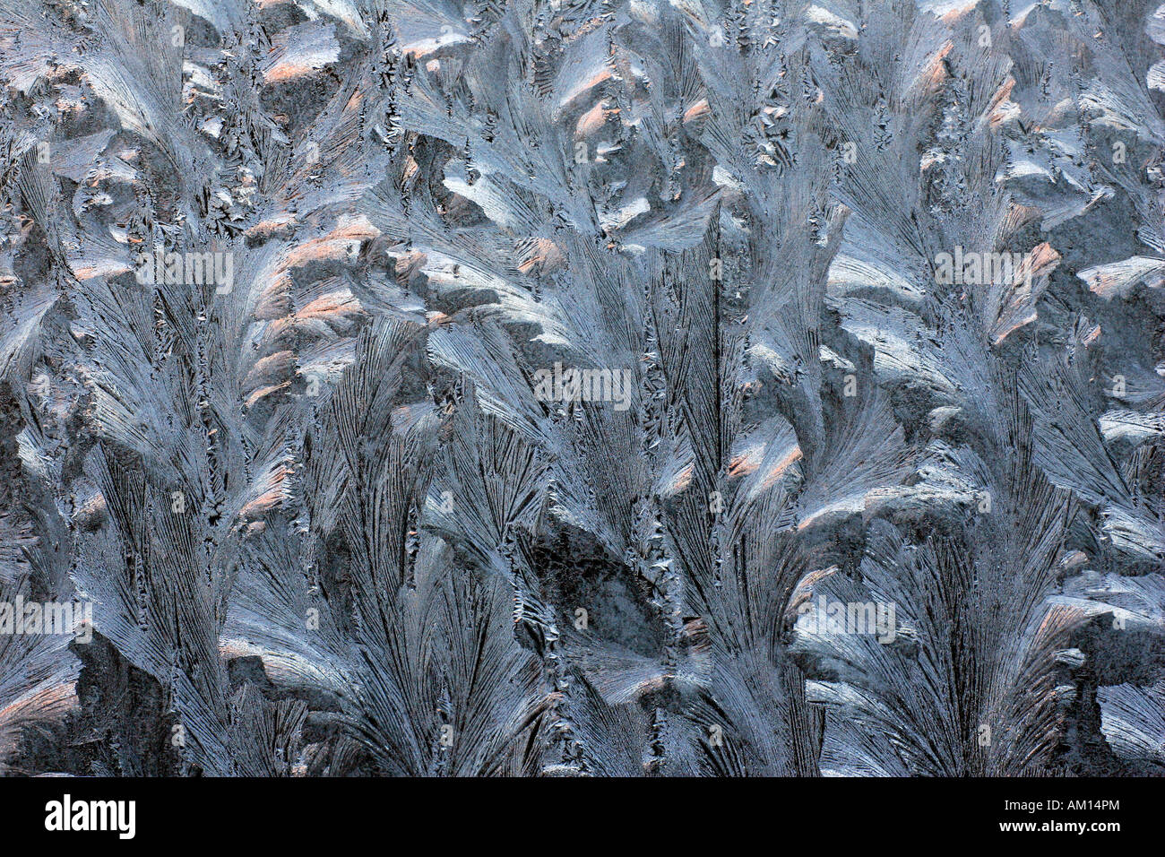 Car frost hi-res stock photography and images - Alamy